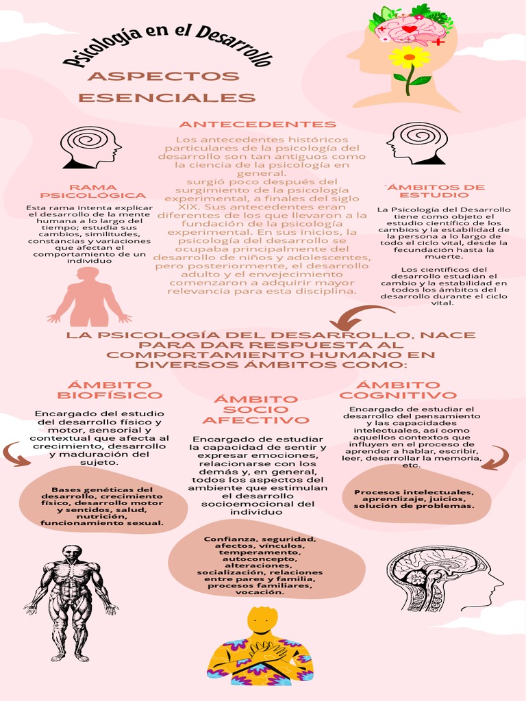 Infografía Psicología en El Desarrollo | PDF | Sicología | Psicología del desarrollo