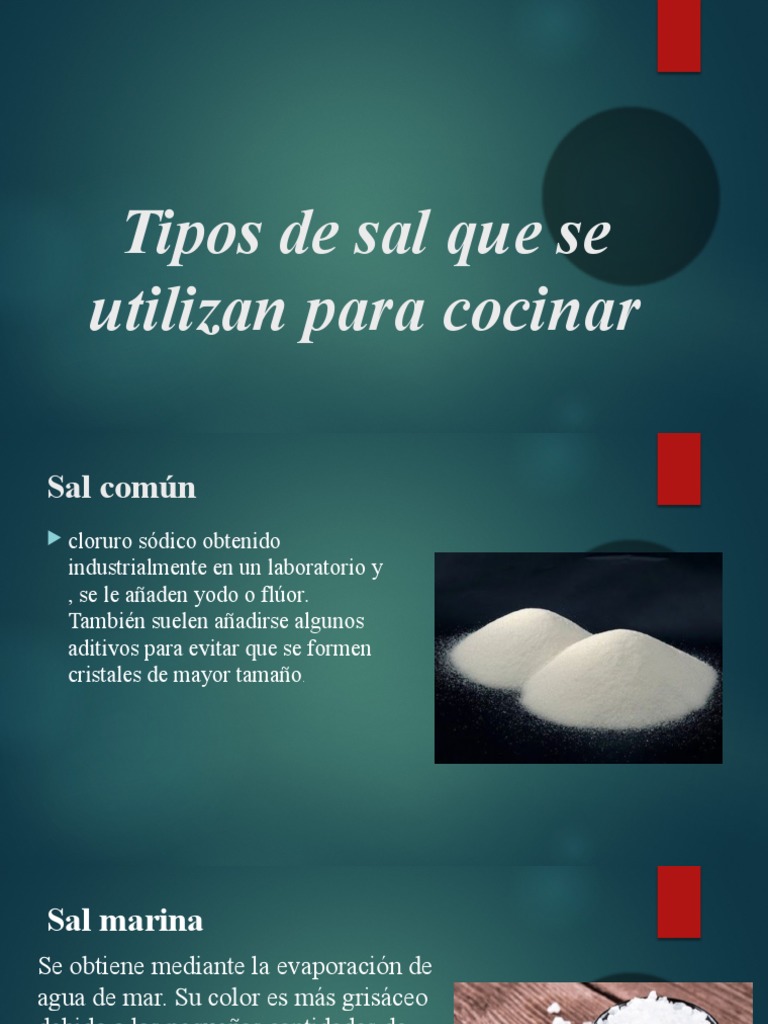Tipos de Sal Que Se Utilizan para Cocinar | PDF