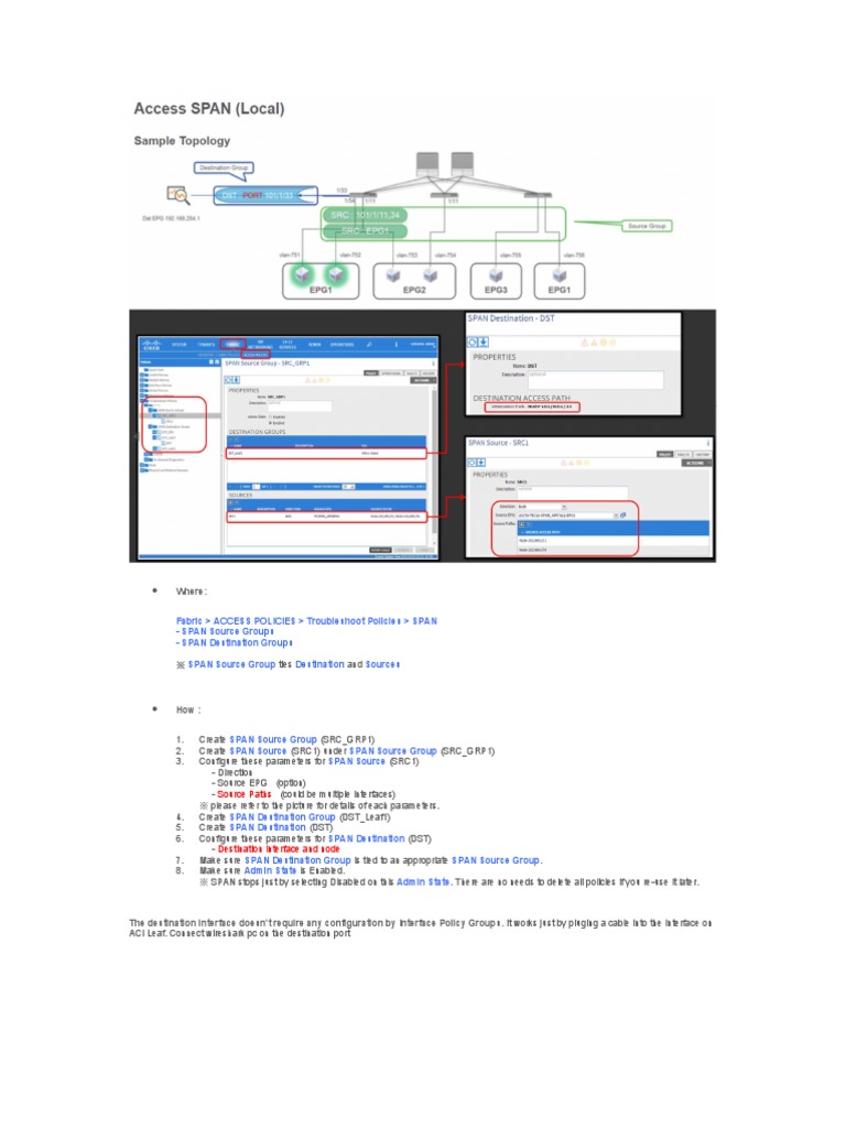 SPAN Configuration Guide for ACI | PDF