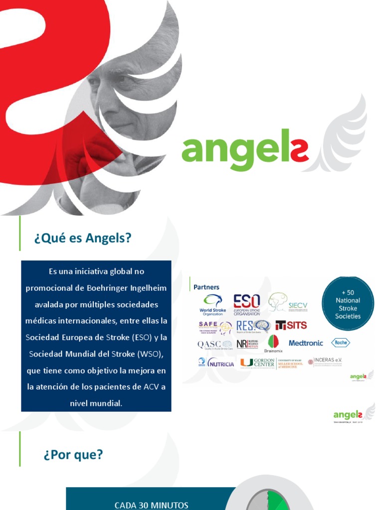 Instructivo Certificaciones Portal Angels | PDF