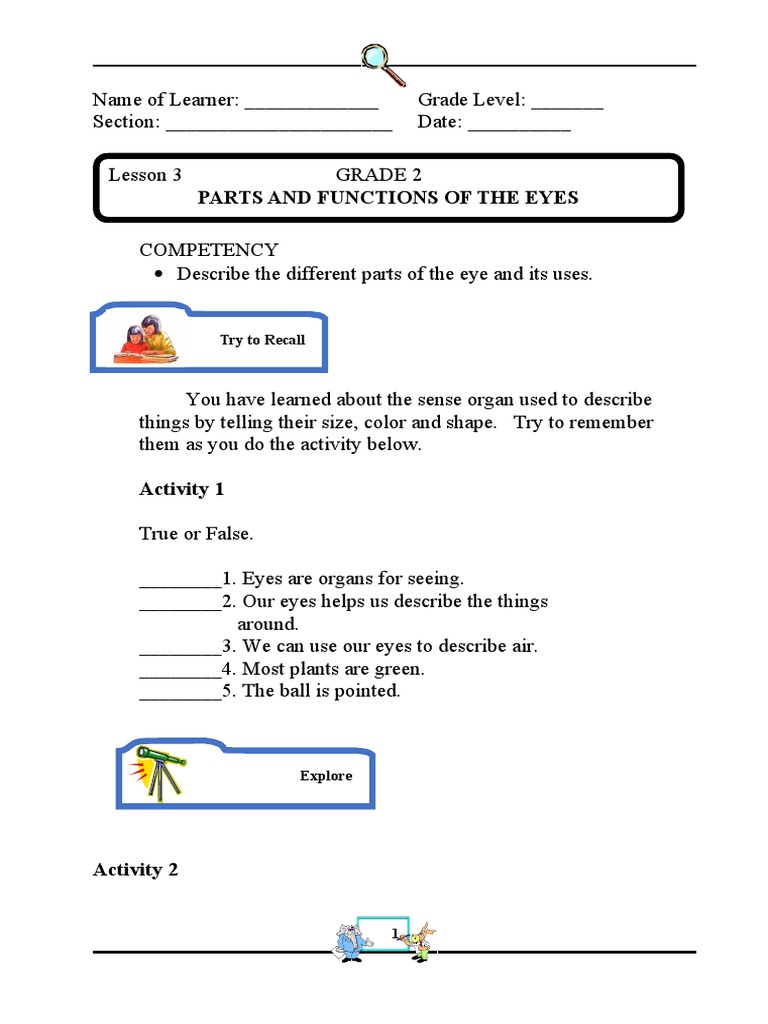 Parts of the Eye for Grade 3 | PDF | Eye | Cornea