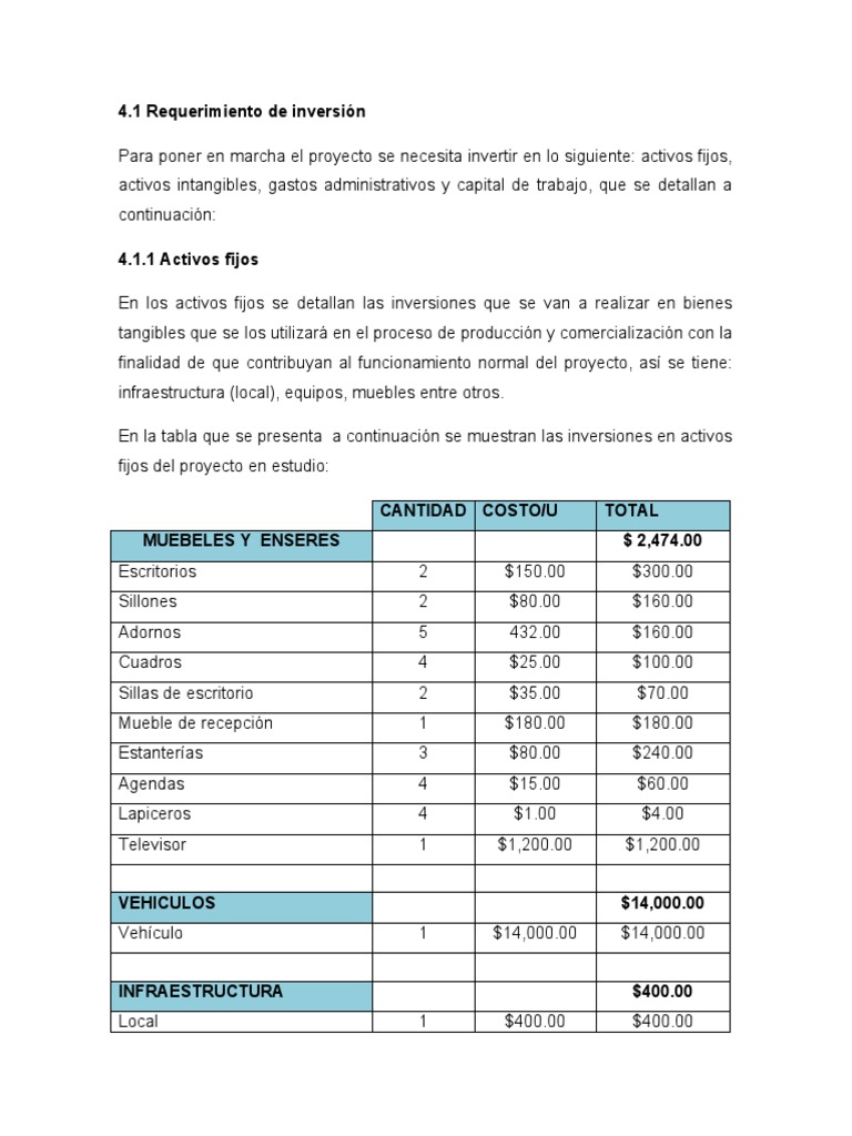 Requerimientos de Inversion | PDF | Inversiones | Activo intangible