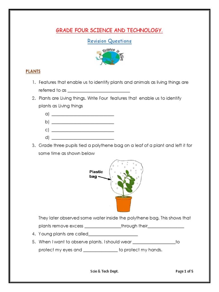 Grade 4 Science and Technology Revision Questions. | PDF | Digestion ...