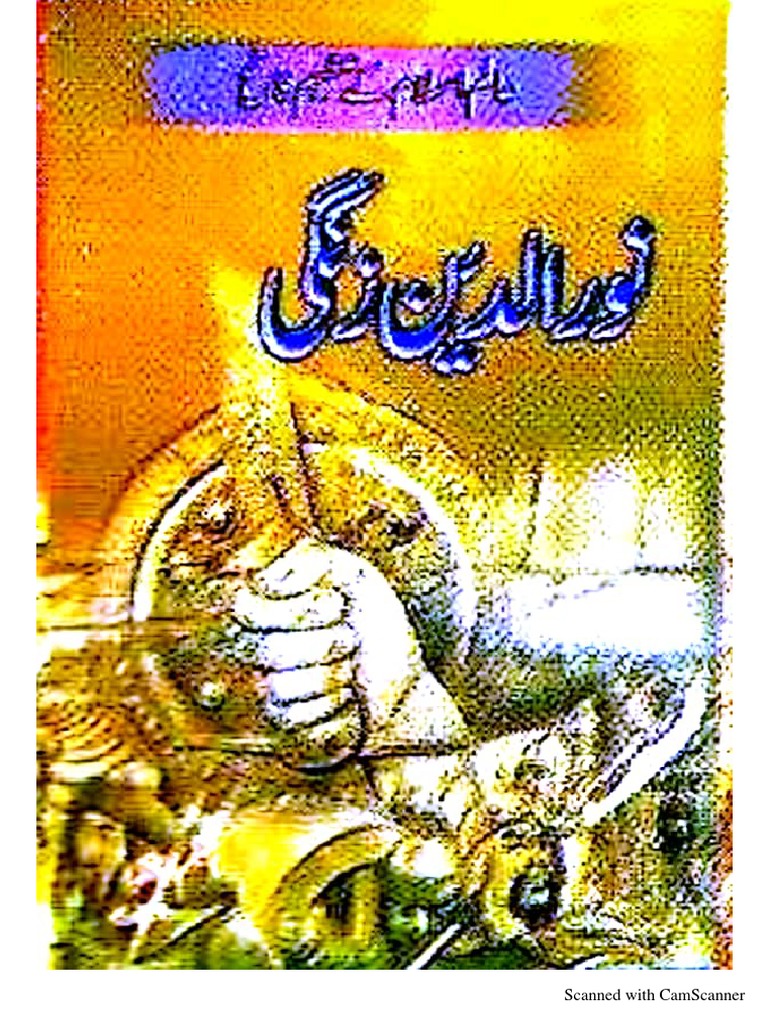 Sultan Noor Ud Din Zangi History by Aslam Rahi | PDF