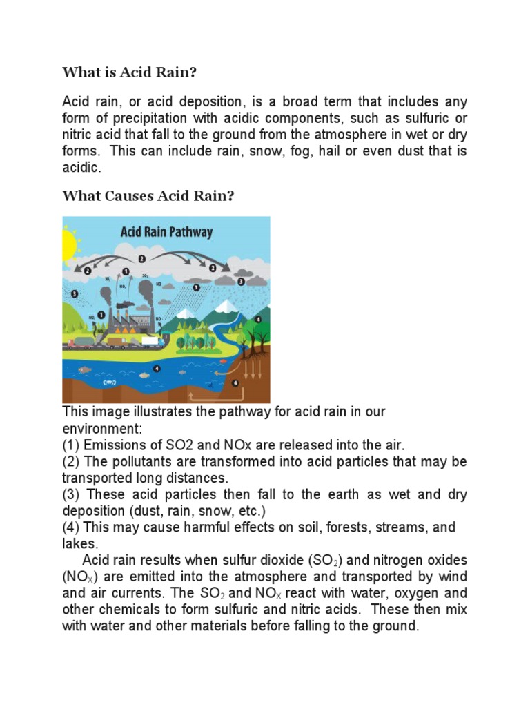 What Is Acid Rain | PDF | N Ox | Soil