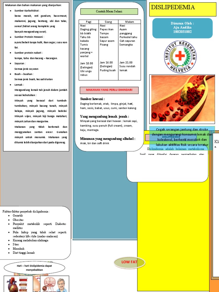 Leaflet Dislipidemia | PDF