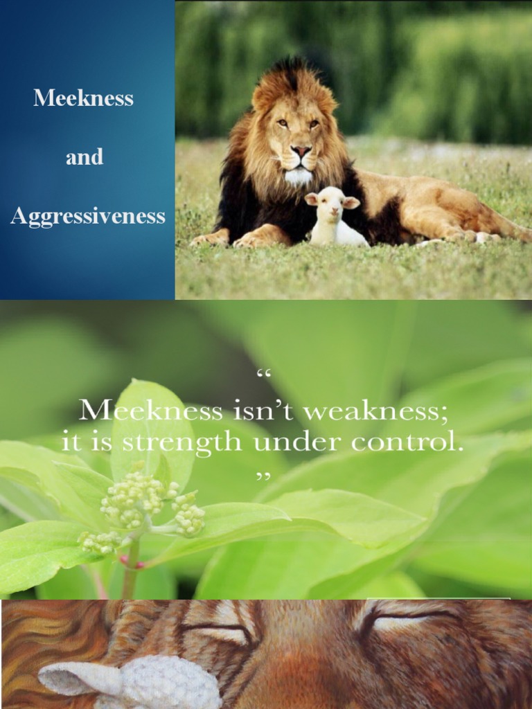 Embracing Meekness and Humility | PDF | Humility | Religious Belief And ...