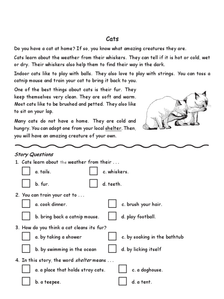 1.2.reading Stories Cats | PDF