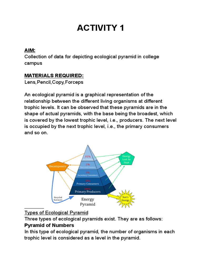 Ecological Pyramid | PDF | Science & Mathematics