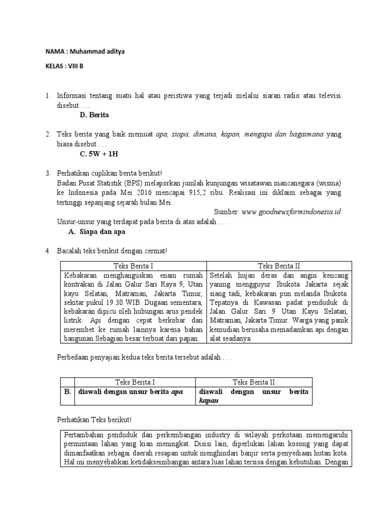 M Aditya | PDF | Dewasa Muda
