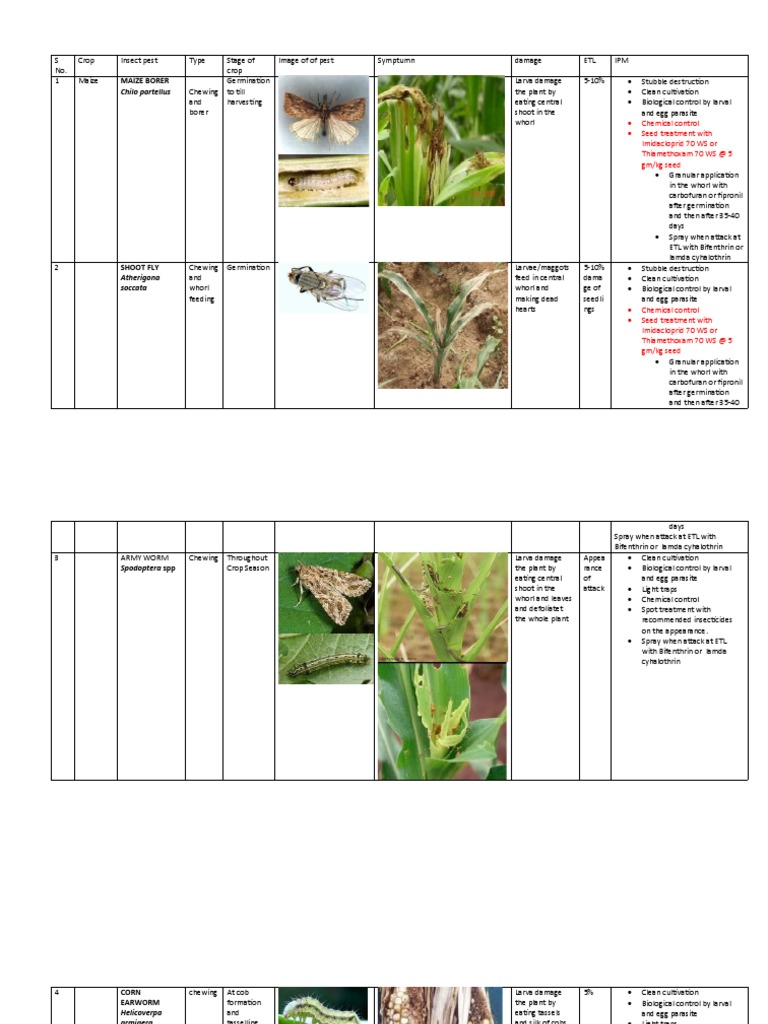 IPM of Maize Pests | PDF | Biological Pest Control | Insects