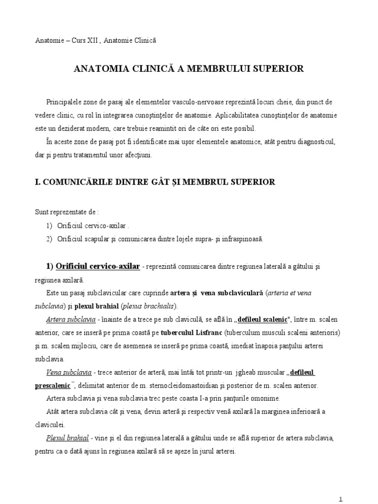 Curs 12 Anatomia Clinica MS | PDF