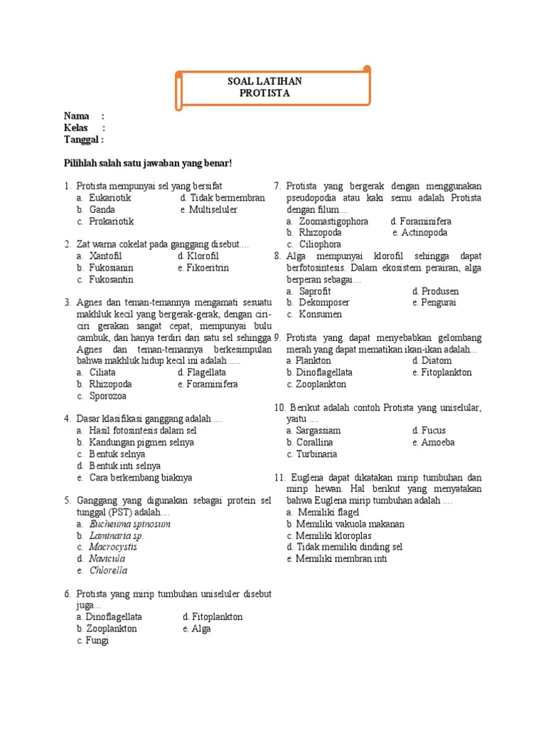 Soal Latihan Protista | PDF