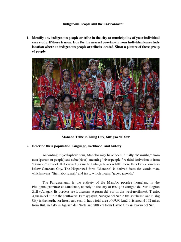 Manobo Tribe: Culture and Environment | PDF | Technology & Engineering