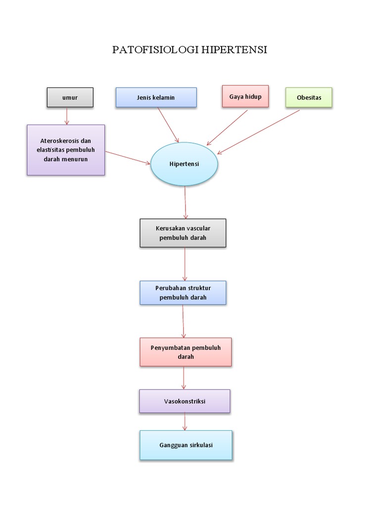 Patofisiologi Hipertensi | PDF