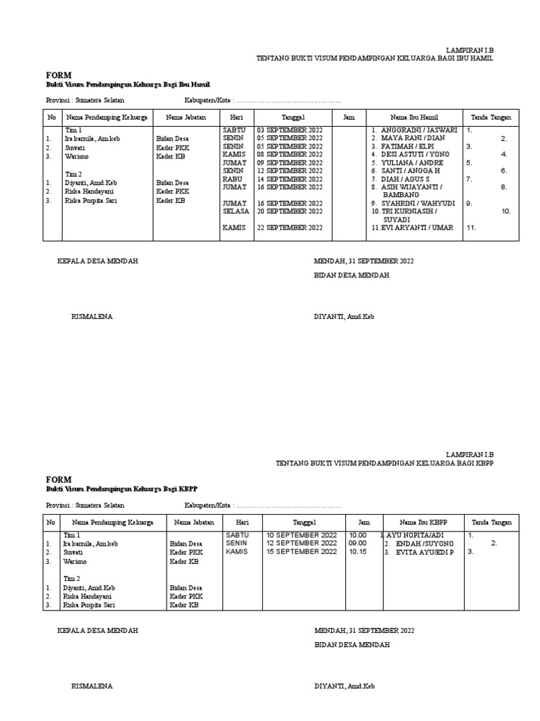 Form Visum Bumil Sep | PDF