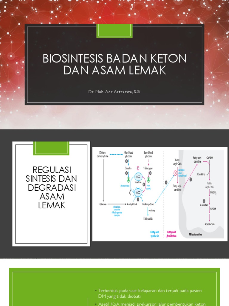 Biosintesis Asam Lemak dan Keton | PDF