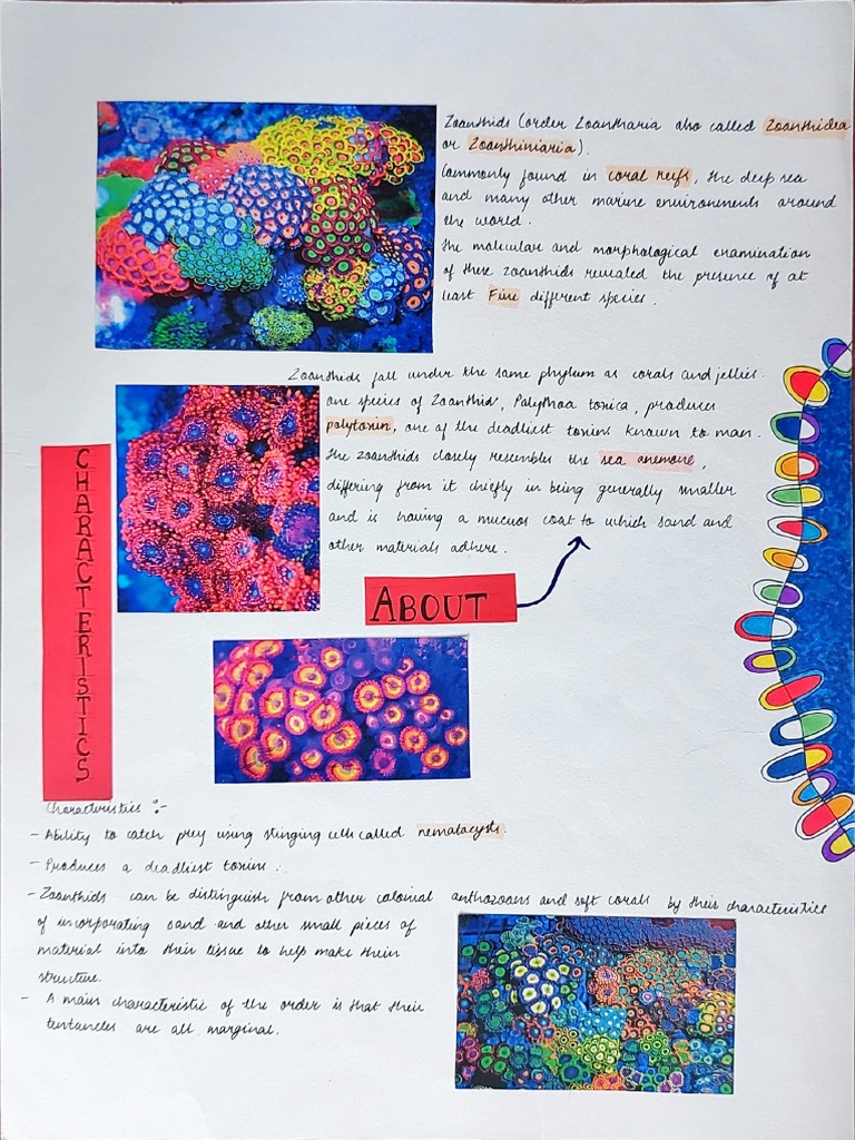 Surface Design BARSHA ROY 20B0061 | PDF