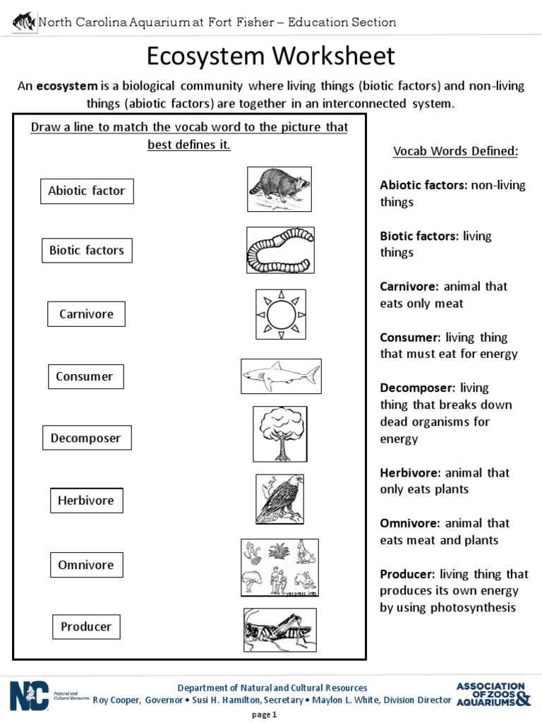 Ecosystem Worksheet 2 | PDF | Ecosystem | Biogeography