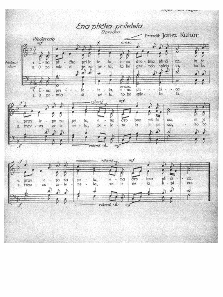 Ena Pticka Priletela | PDF