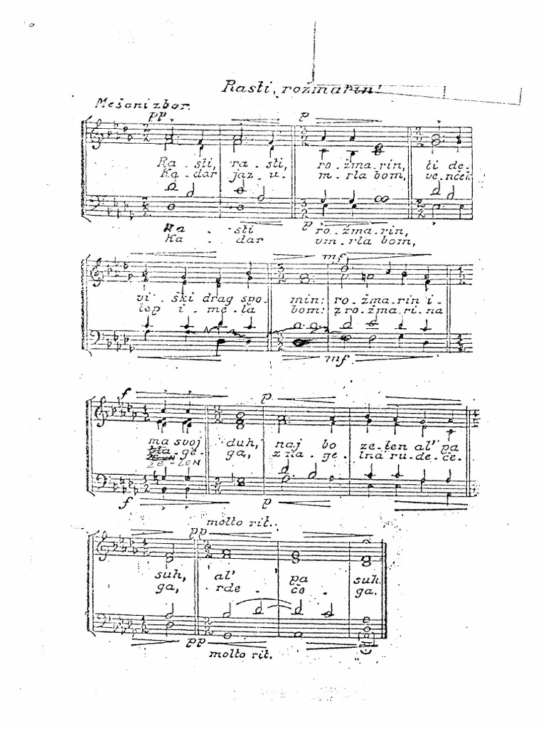 Rasti Rozmarin | PDF