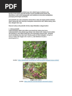 Cut Gina Inggriyani Jurnal 3 | PDF