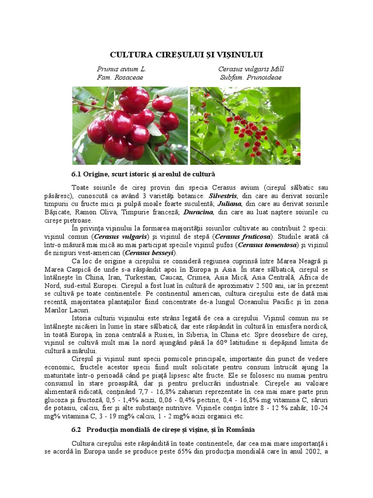 Curs 12 Pomicultura | PDF