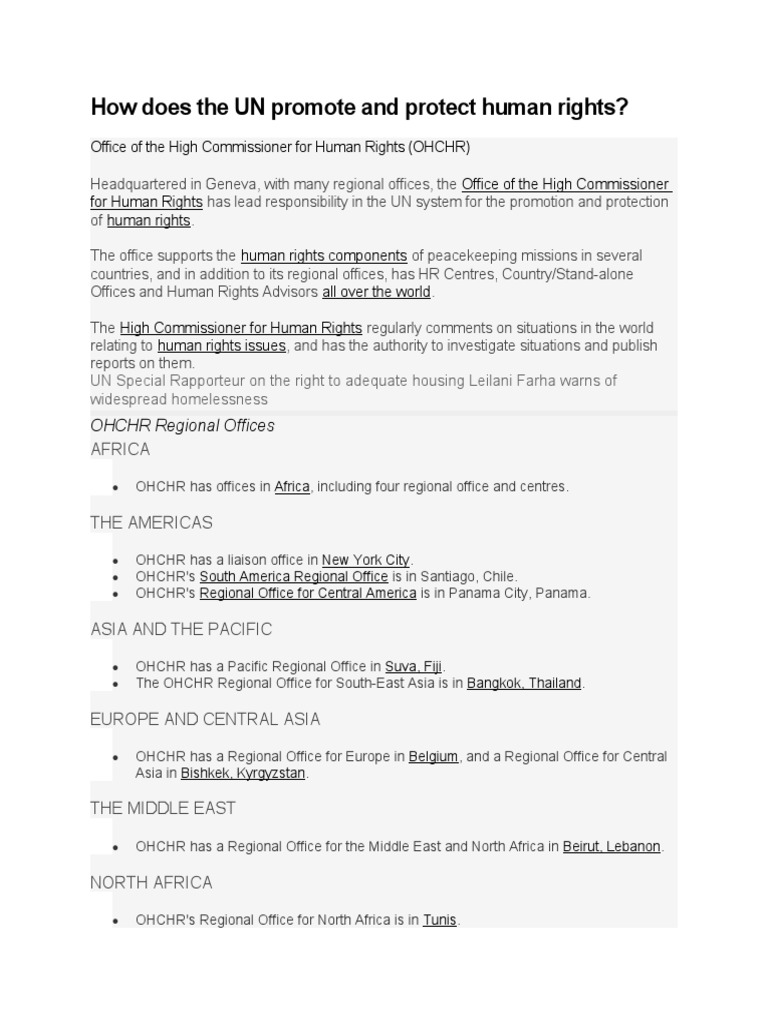 How Does UN Protect HUman Rights | PDF