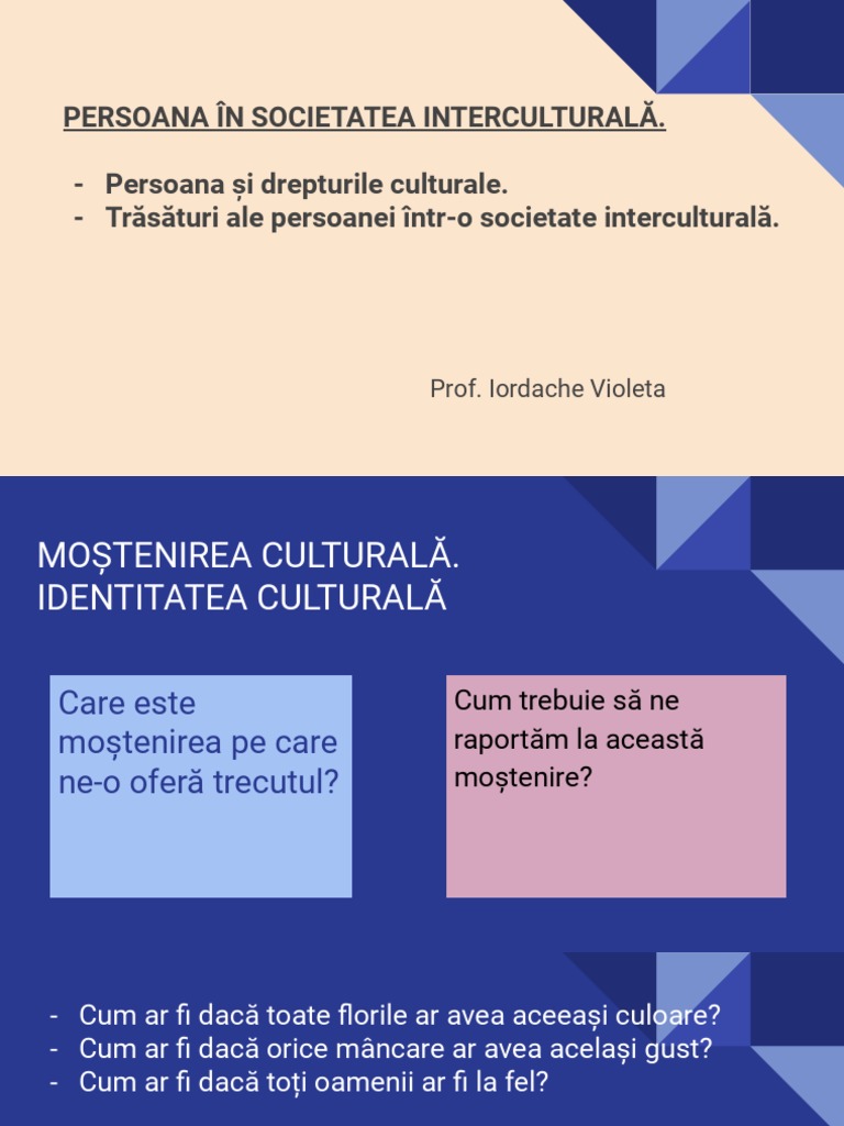 Persoana in Societatea Interculturala | PDF