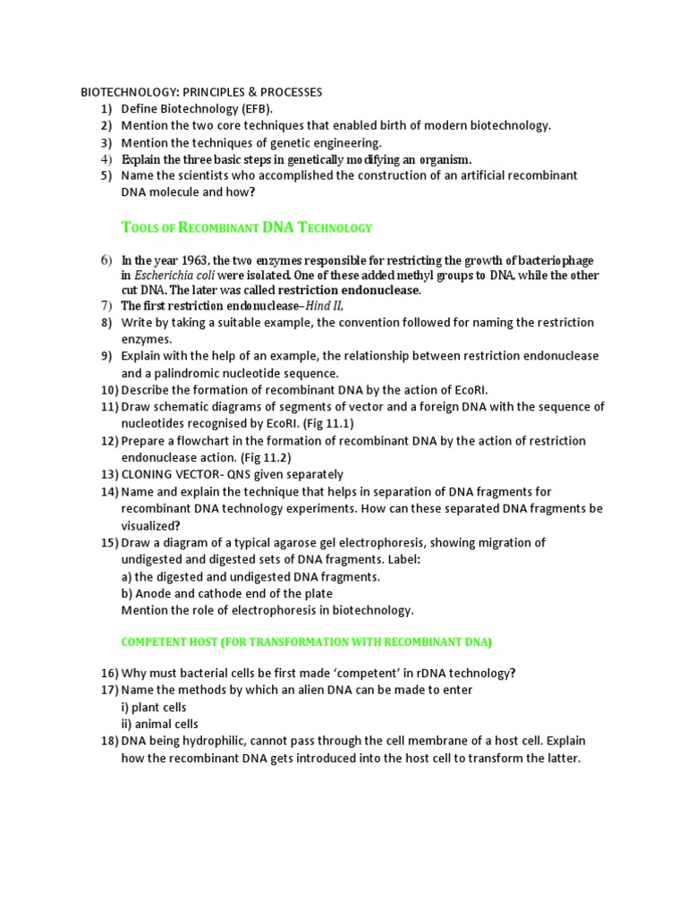 11.1 Biotechnology - Principles & Processes | PDF | Recombinant Dna | Restriction Enzyme
