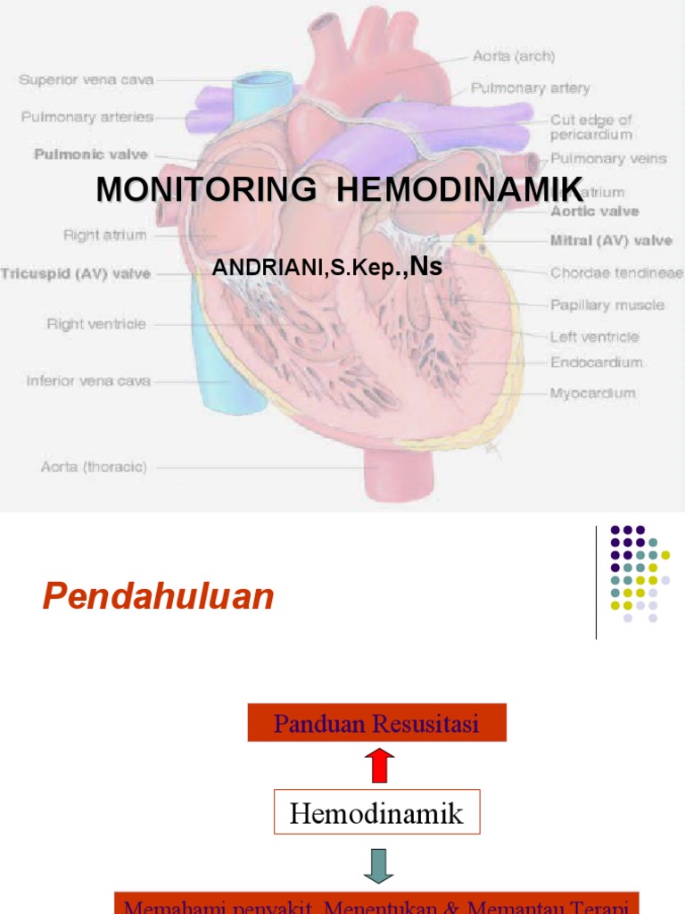 Presentasi Hemodinamik Monitoring | PDF