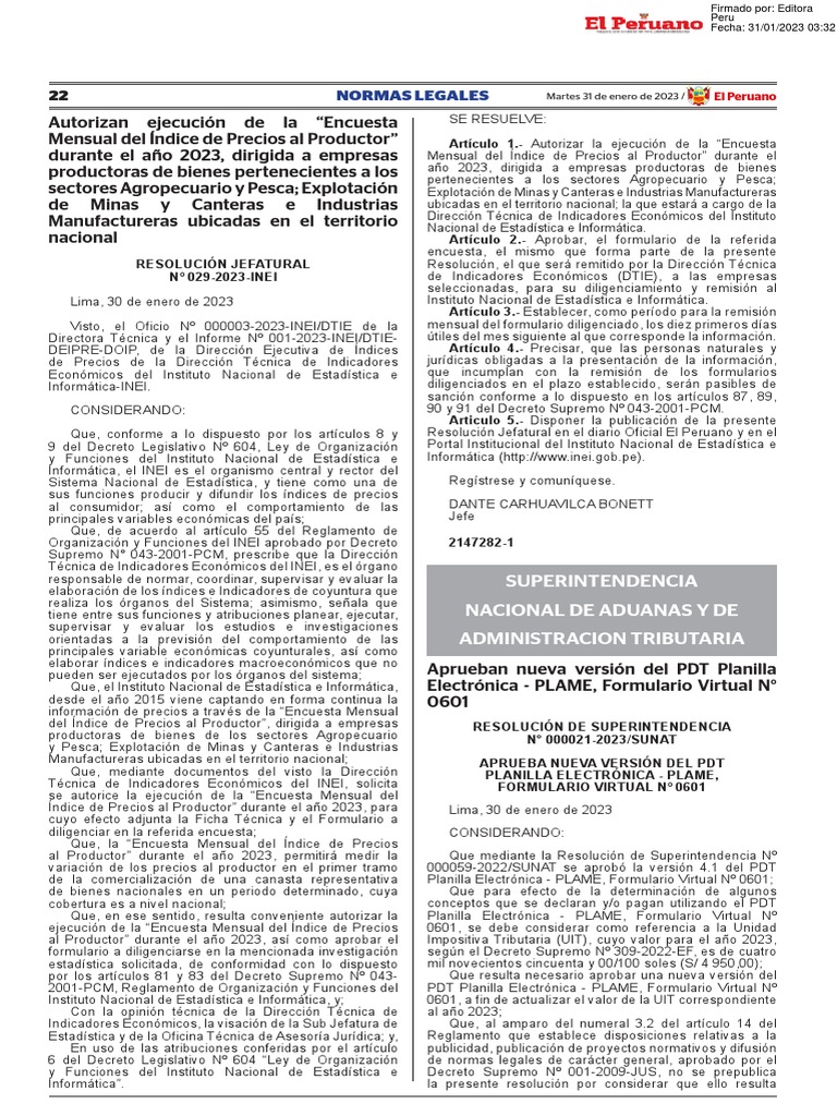 R.S ° 000021-2023/sunat | PDF