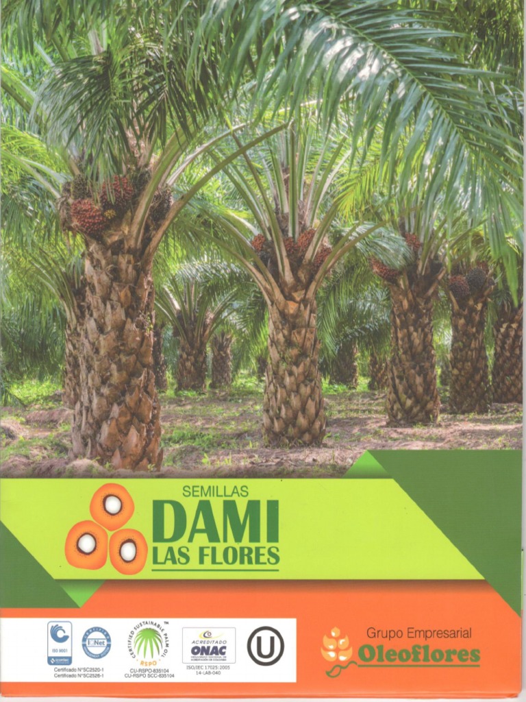 Brochoure Dami Las Flores | PDF
