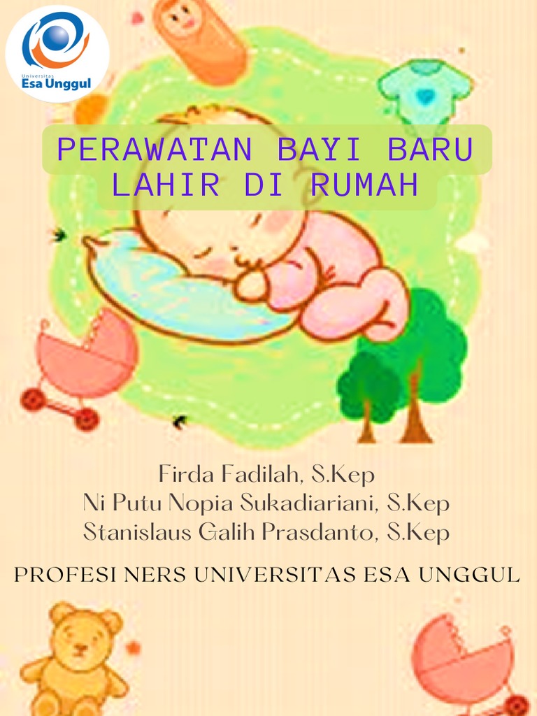Booklet Perawatan Bayi Baru Lahir | PDF
