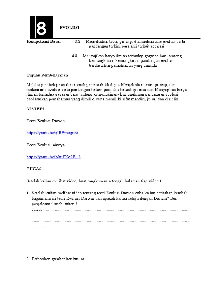 LKPD Evolusi 2 | PDF
