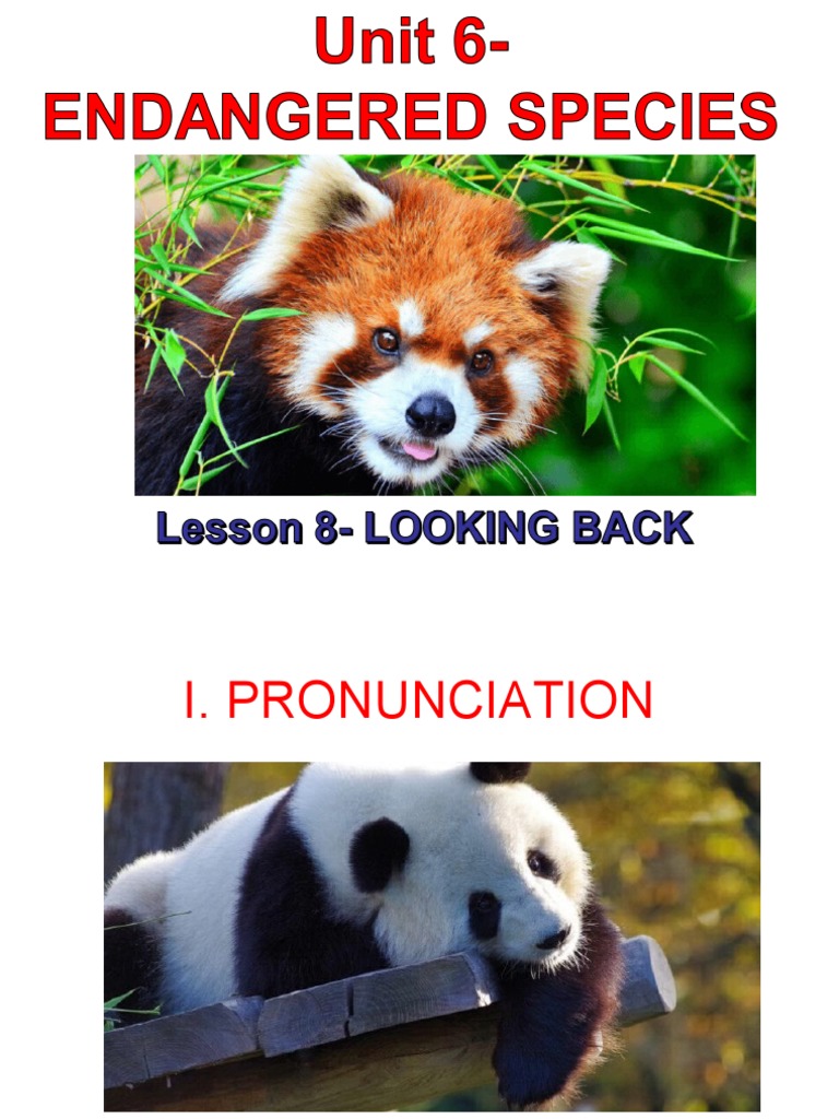 Unit 6 Endangered Species Lesson 8 Looking Back and Project | PDF ...