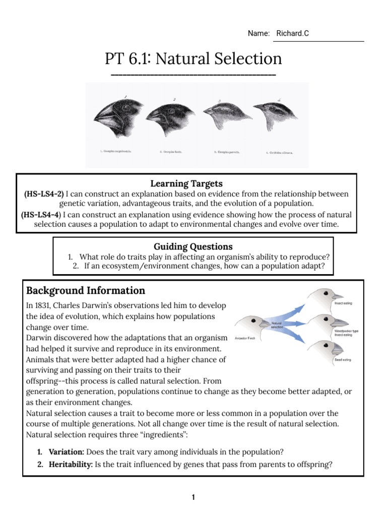 Understanding Natural Selection Basics | PDF | Natural Selection | Evolution