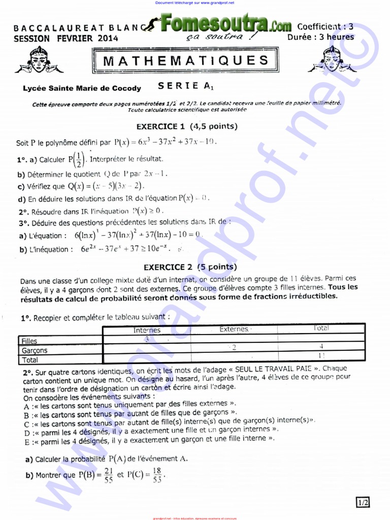 Sujet Maths Bac Blanc Serie A1 Lycee Sainte Marie | PDF