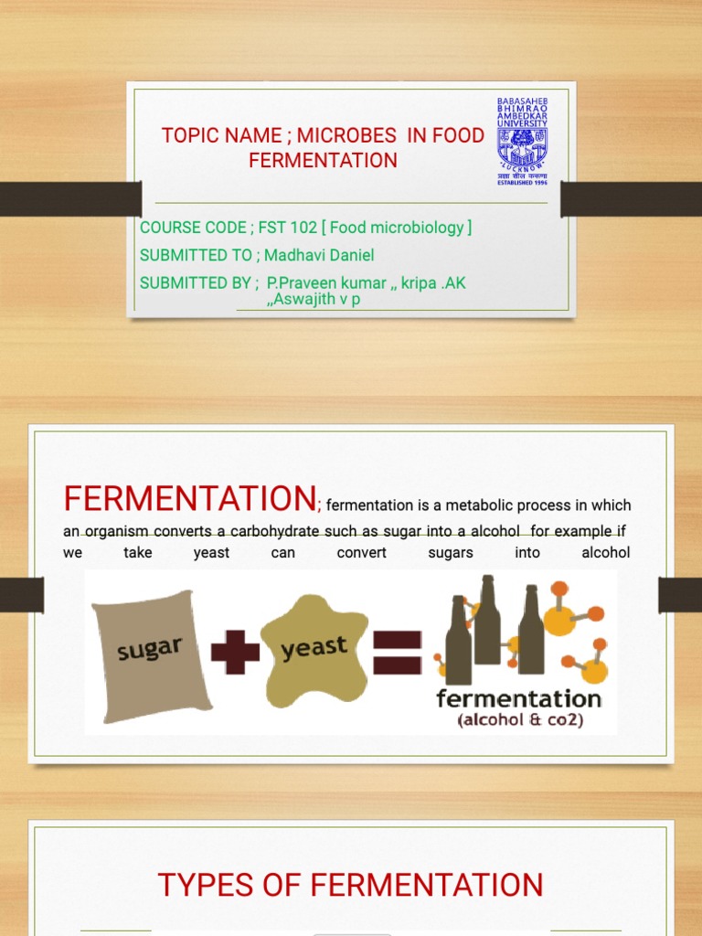 Microbes in Ferment@3 | PDF | Fermentation | Bacteria