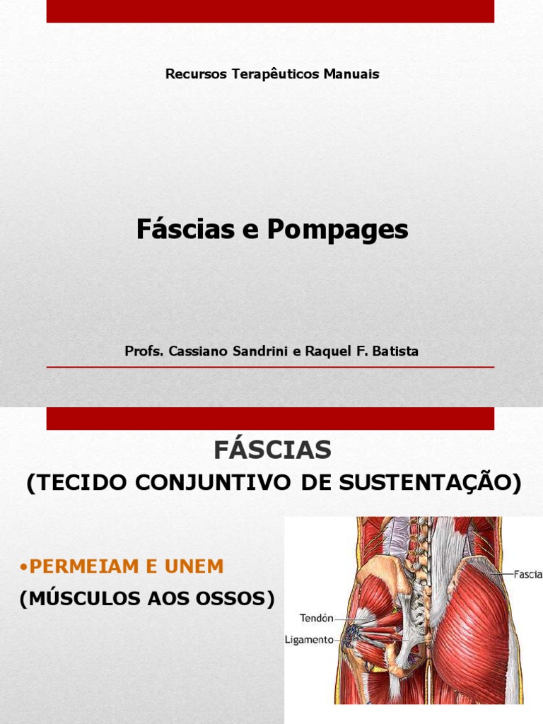 Fáscias e Pompages: Recursos Terapêuticos Manuais | PDF | Músculo ...