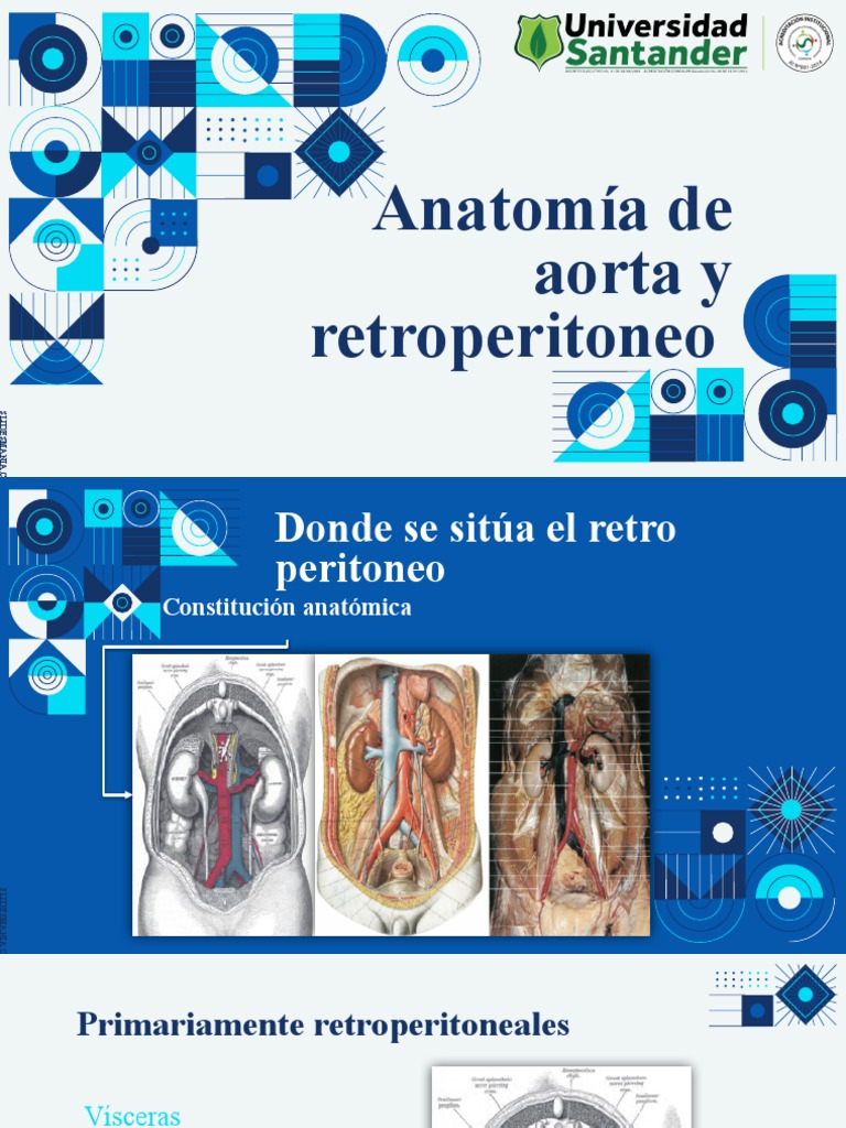 Retroperitoneo Segunda Parte | PDF | Abdomen | Anatomía