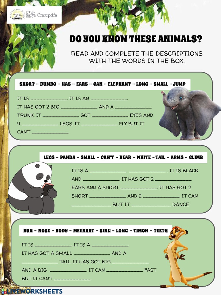 Ficha Reading Animals | PDF