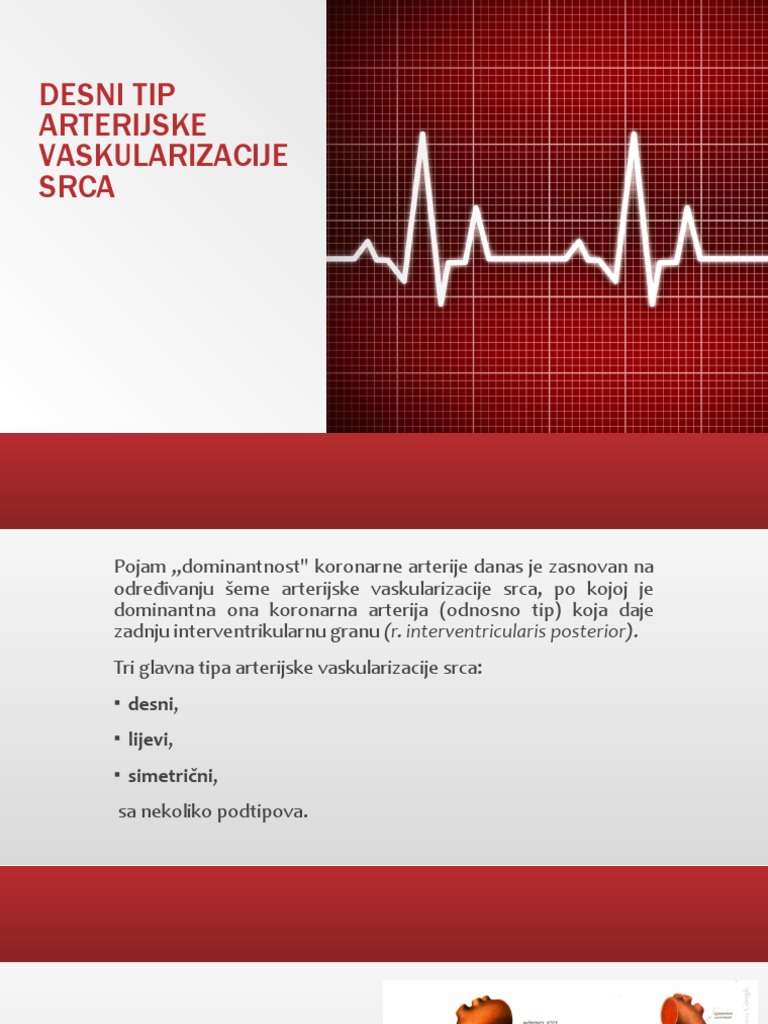 Desni Tip Arterijske Vaskularizacije Srca | PDF