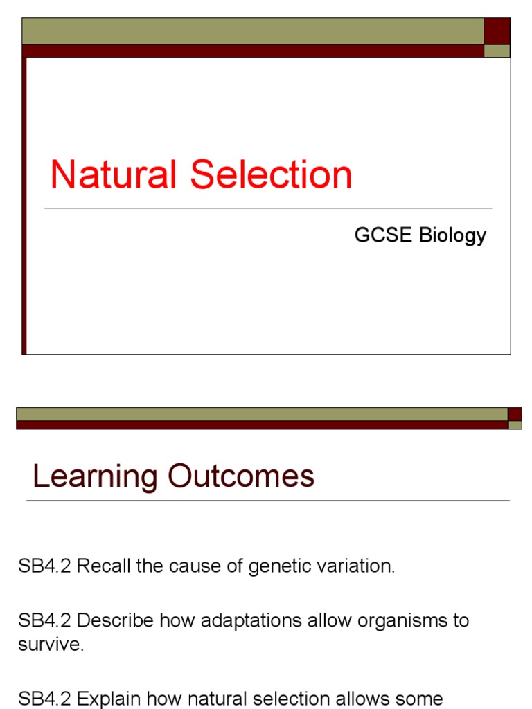 Natural Selection | PDF | Natural Selection | Genetic Variation