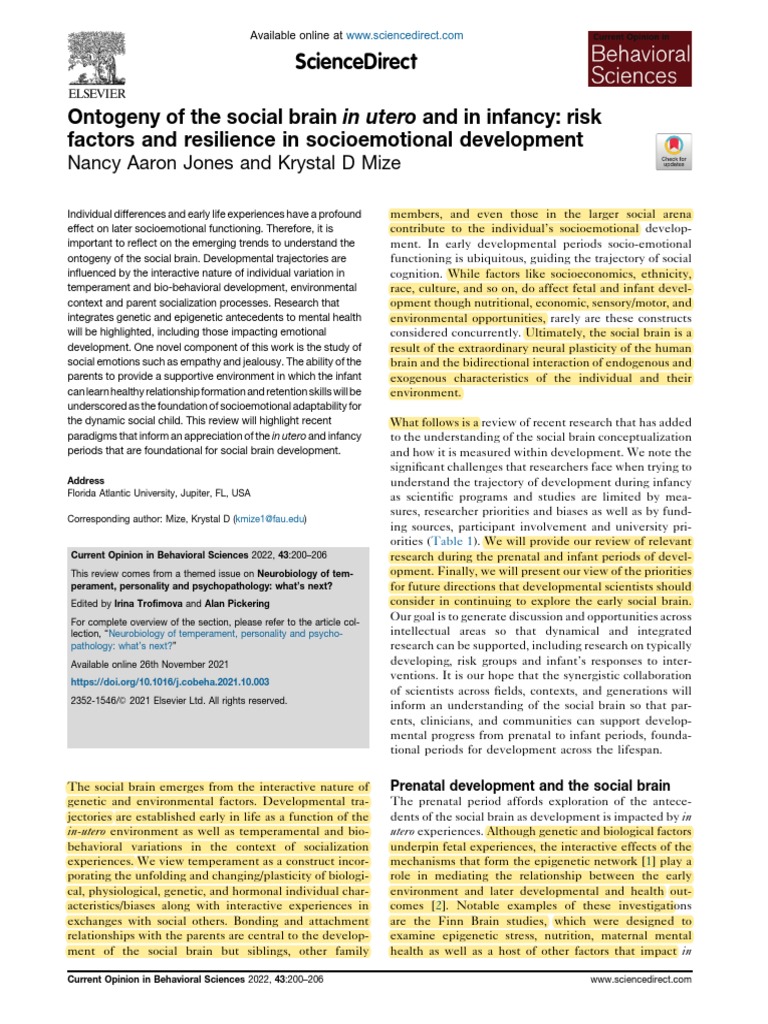 Ontogeny of The Social Brain in Utero and in Infancy | PDF | Attachment ...