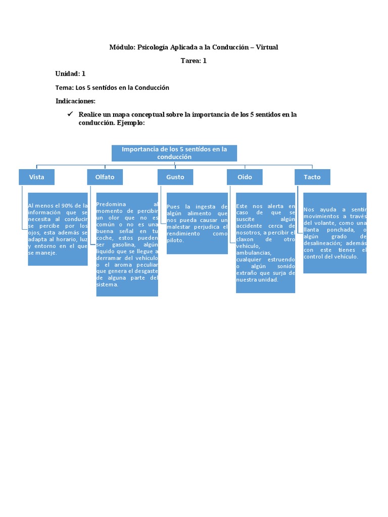 Importancia de los 5 sentidos en conducción | PDF