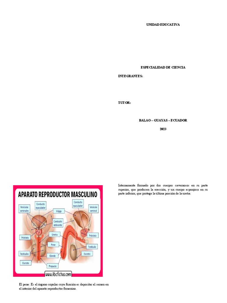 Fisiología de la reproducción humana: Un estudio de los sistemas ...
