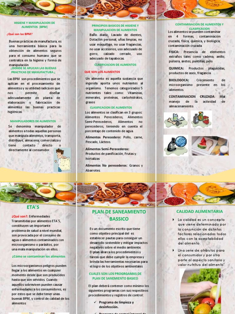 Folleto de Curso de Alimentos | PDF | Alimentos | Nutrientes Folleto de Curso de Alimentos | PDF | Alimentos | Nutrientes
