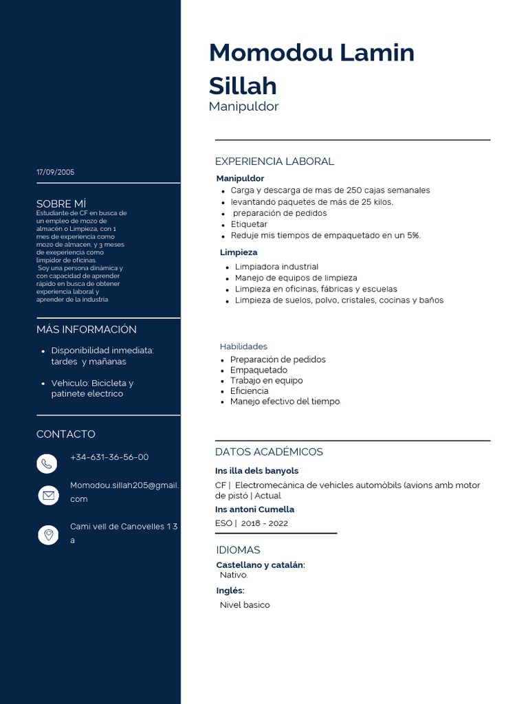 Manipulador CV | PDF