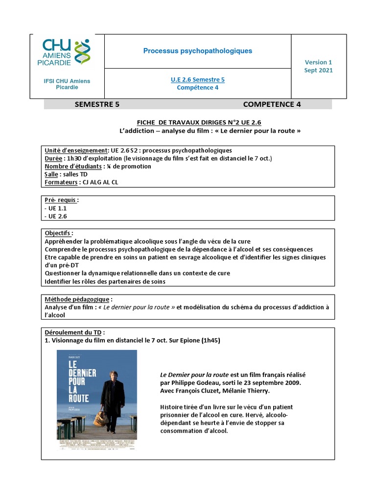 Analyse de l'addiction à l'alcool | PDF | Allaitement | Alcoolisme